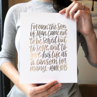 Portfolio • Lauren Ibach