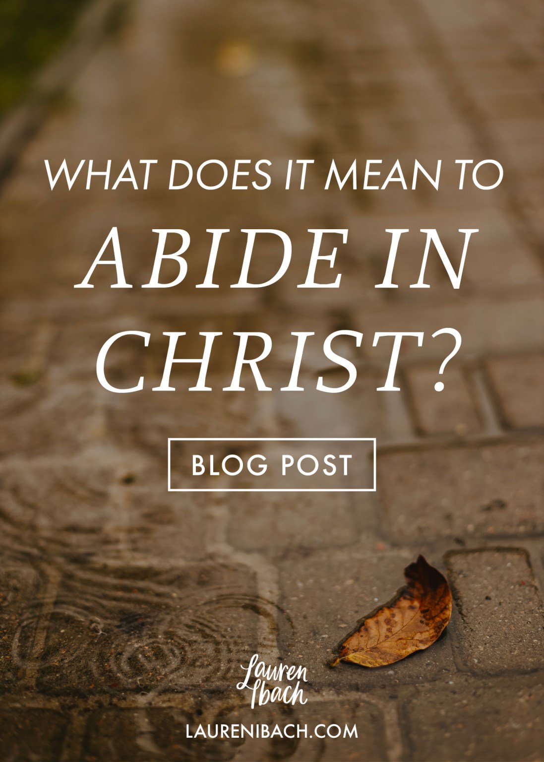 What Does It Mean to Abide in Christ? • Lauren Ibach