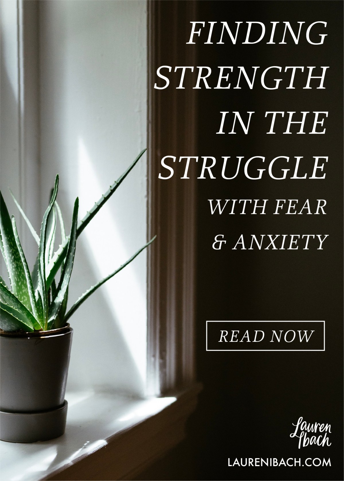 Finding Strength in the Struggle • Lauren Ibach