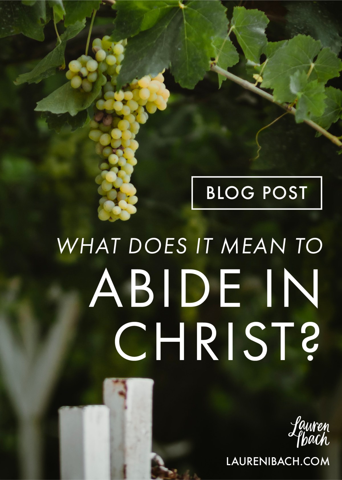 What Does It Mean to Abide in Christ? • Lauren Ibach