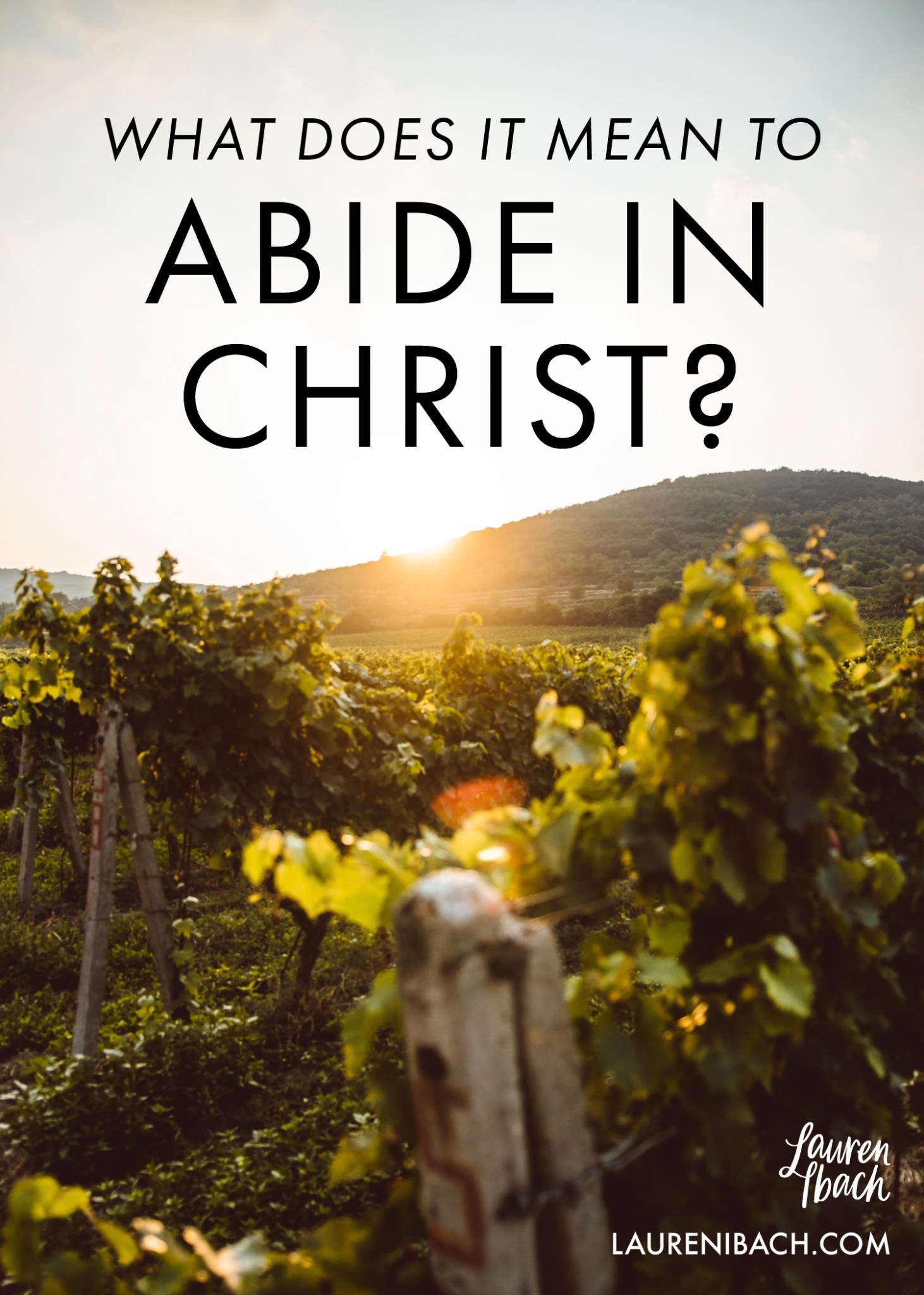 What Does It Mean to Abide in Christ? • Lauren Ibach